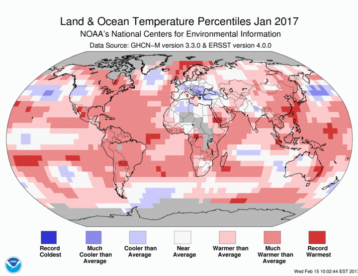 This January Was the Third Warmest on Record Globally | Live Science
