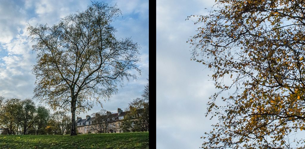 Photography tips for beginners | Digital Camera World