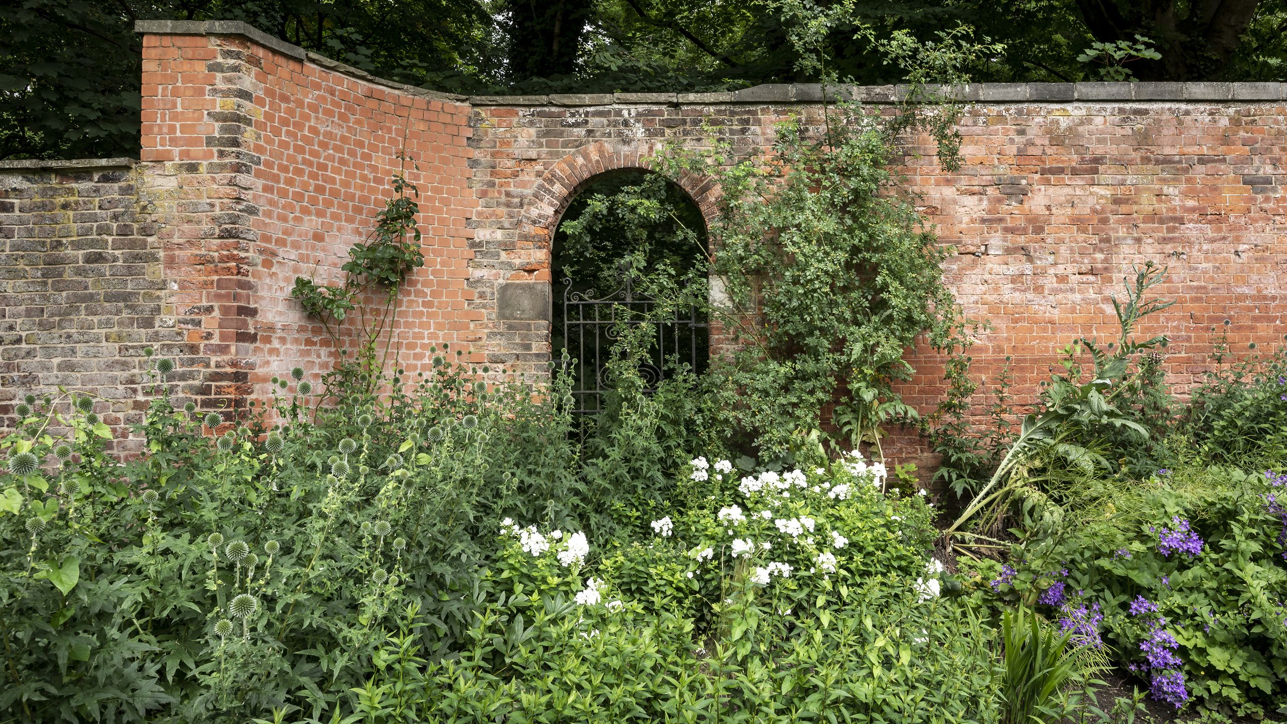 Garden Wall Ideas: Beautiful Boundary Inspiration | Homebuilding