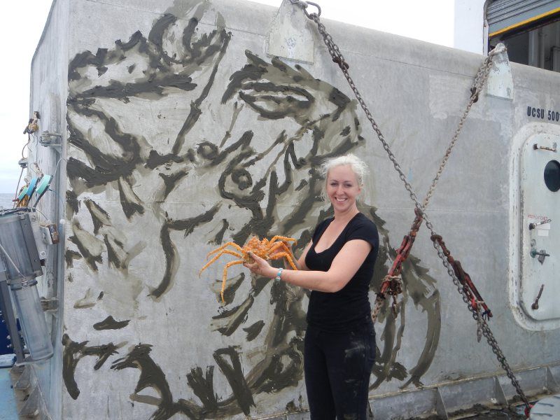 Ocean Art: Paintings of Amazing Sea Creatures | Live Science