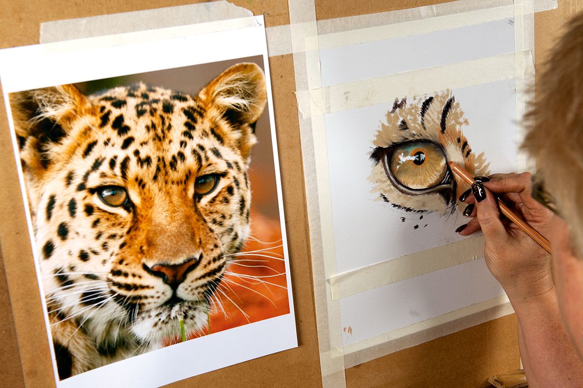 How to illustrate animal eyes | Creative Bloq