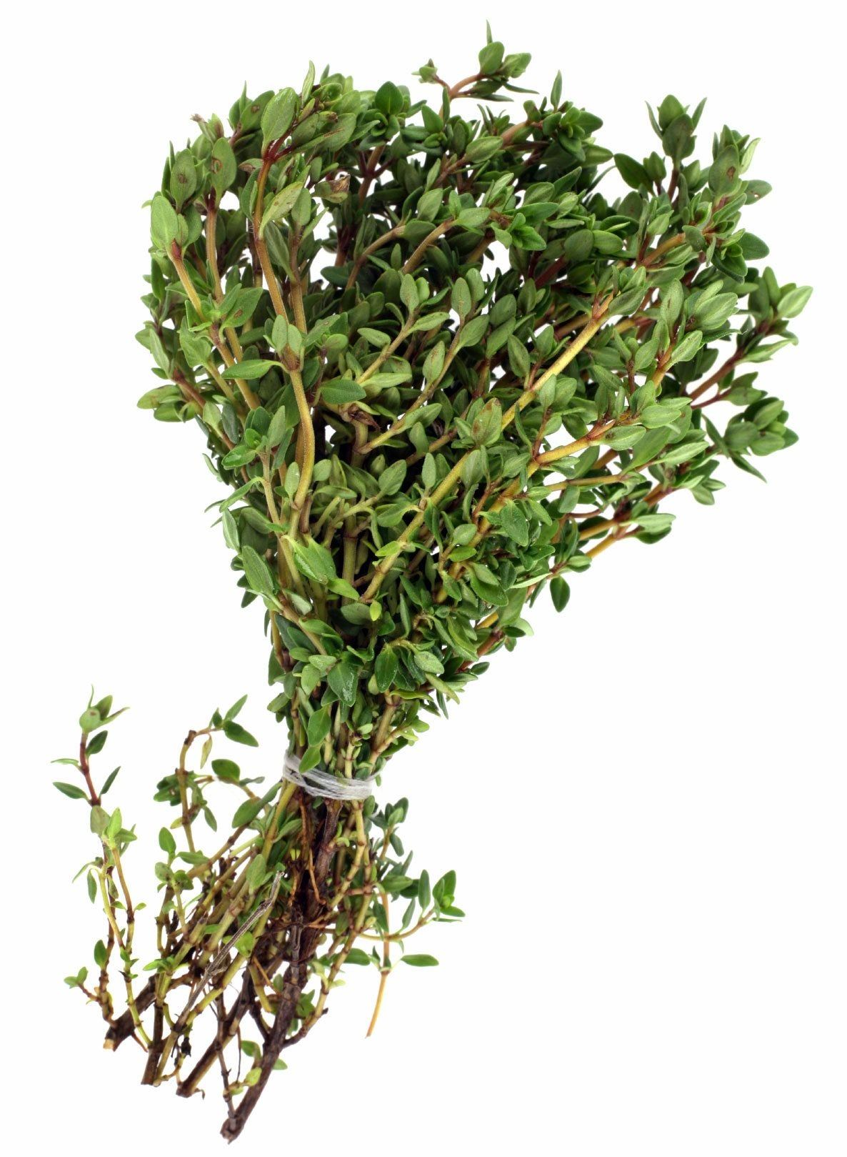 Harvesting Thyme And How To Dry Thyme | Gardening Know How