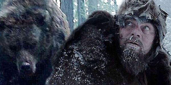Watch A Man Get Attacked By A Bear In Crazy New Video | Cinemablend