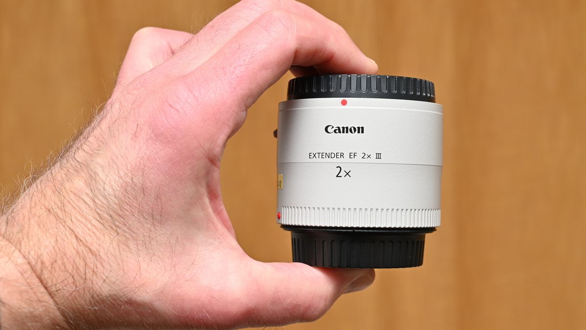 Canon Extender EF 2x III review: is twice as much twice as good ...