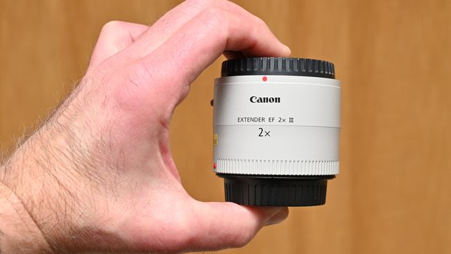 Canon Extender EF 2x III review: is twice as much twice as good ...