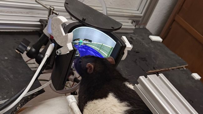 Virtual Reality News, Analysis and Features | Tom's Hardware