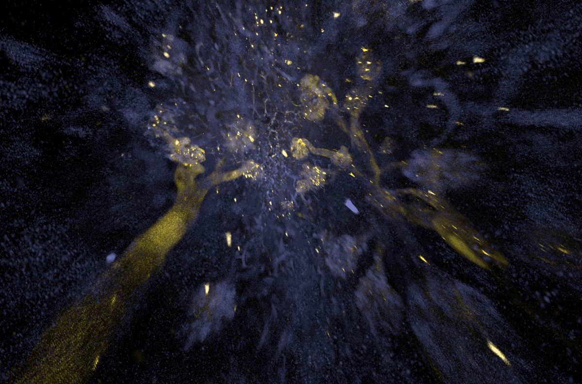 Transparent Bodies: Mice Go See-Through For Science | Live Science