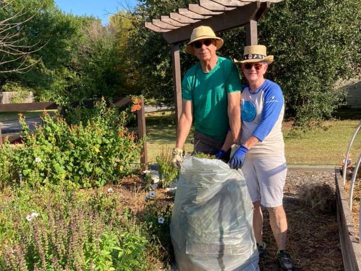 Common Ground Community Garden - 2022 Grant Recipient | Gardening Know How