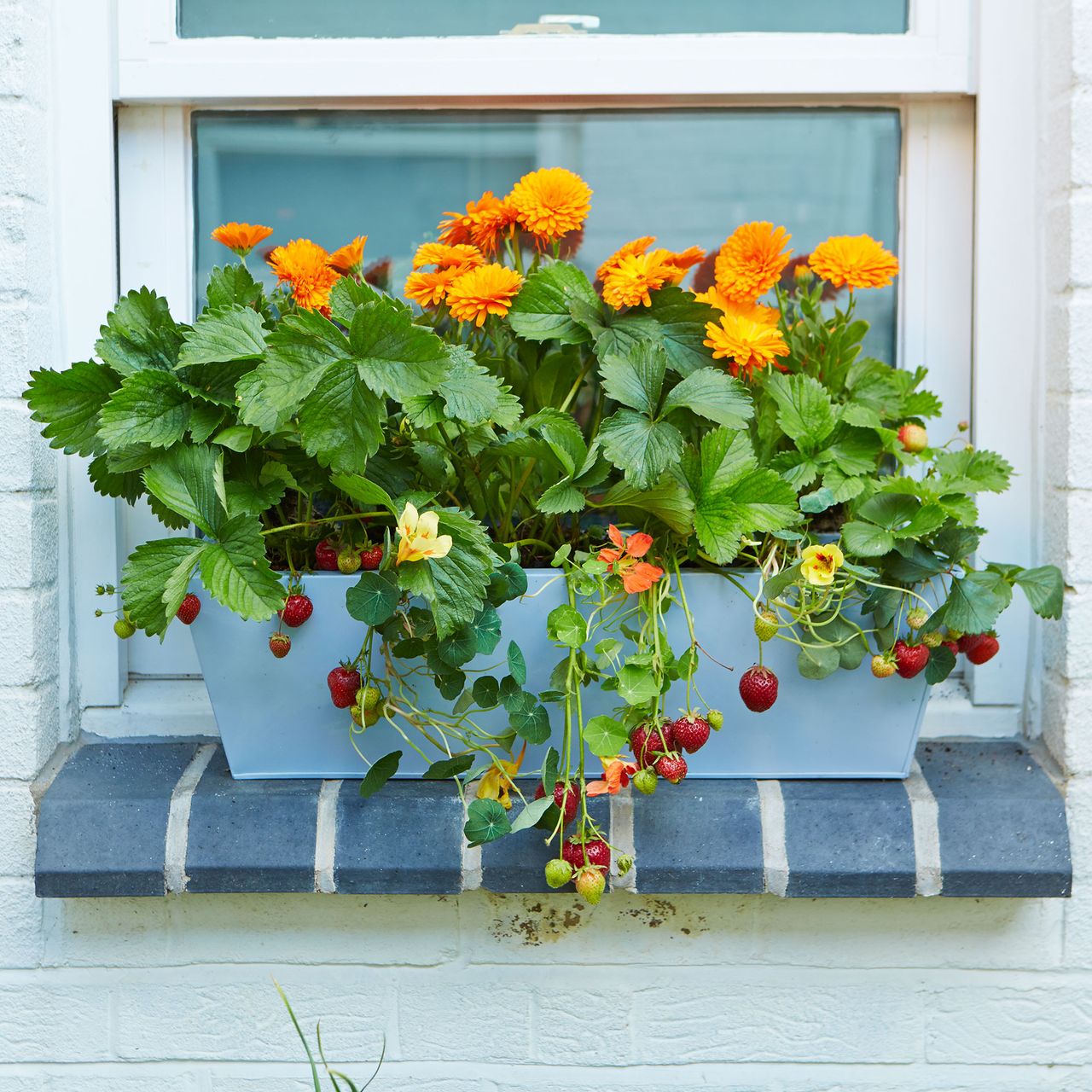 10 pretty planting ideas for window boxes | Ideal Home
