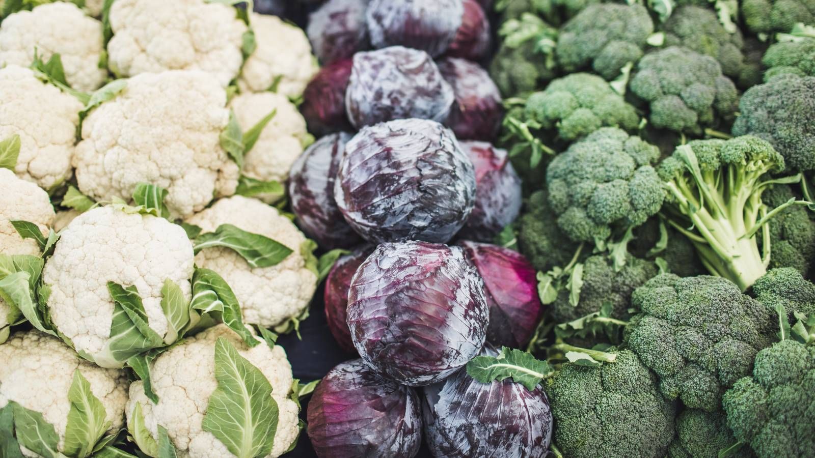 Cruciferous Vegetables Guide – What Gardeners Need To Know | Gardening ...