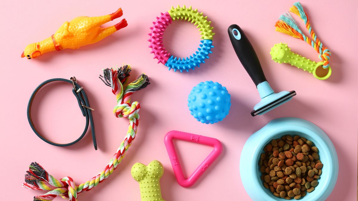 32 tips for busy dog owners | PetsRadar