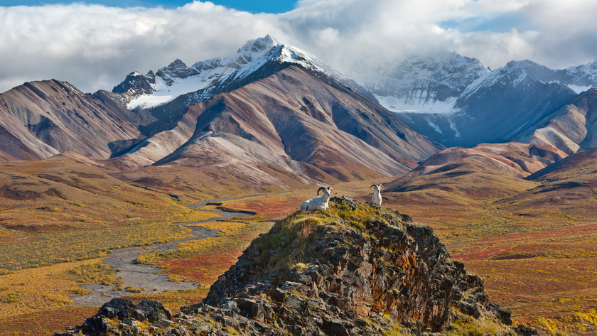 What is paraskiing? Take to the skies with skis | Advnture