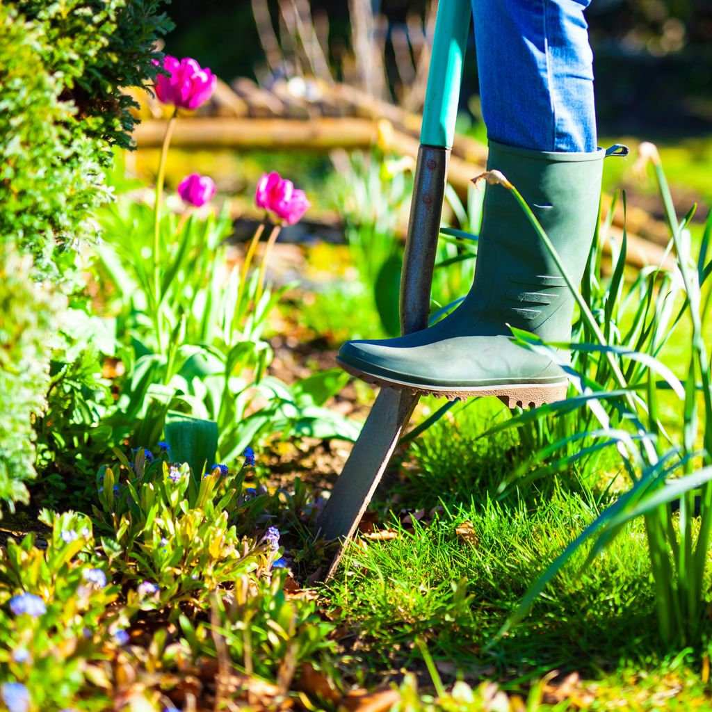 Articles by Amy Grant | Gardening Know How