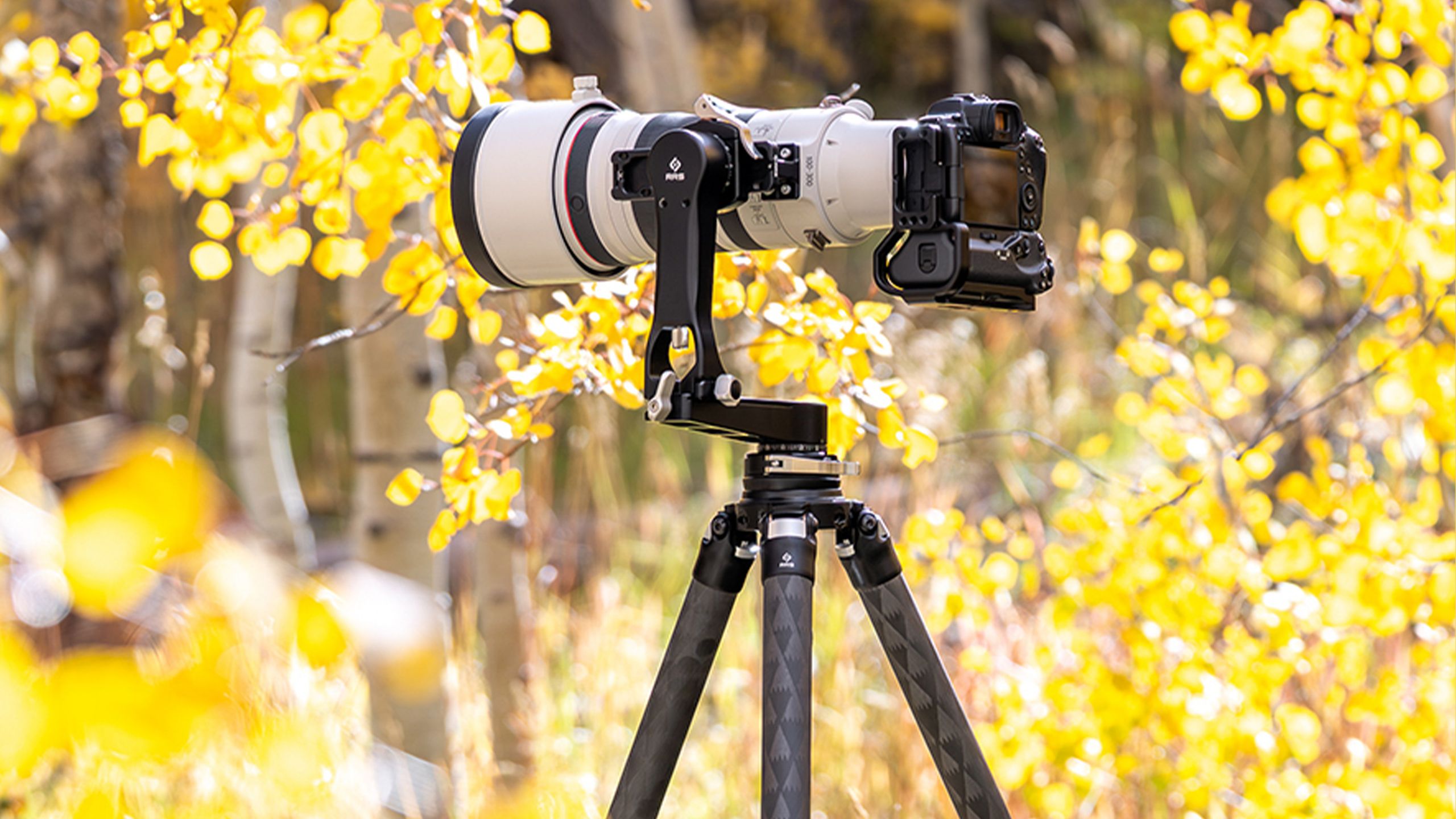 Really Right Stuff's most affordable carbon fiber tripod yet still ...