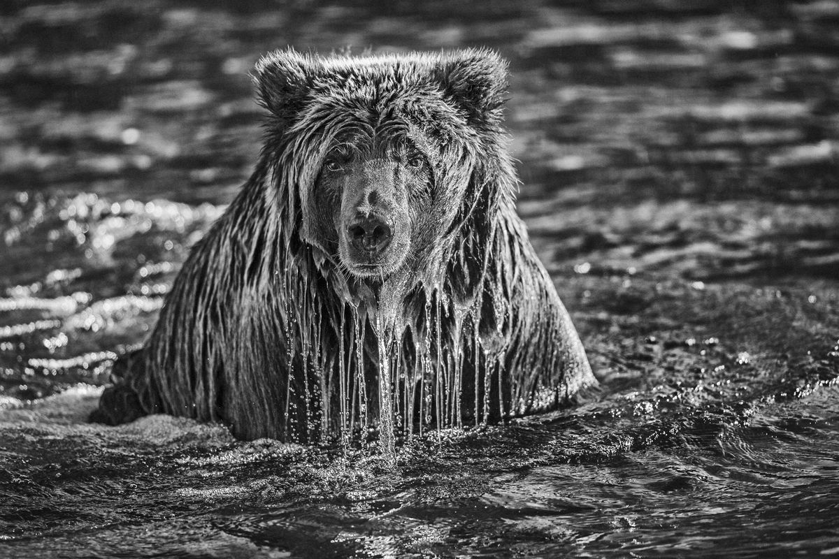 Top nature photographer Paul Nicklen tells all in Masters of ...