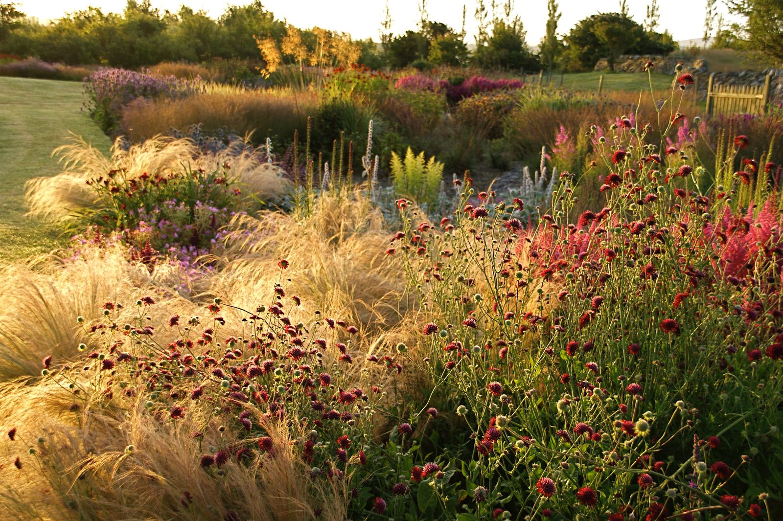Piet Oudolf on garden design and creating your own space | Wallpaper*