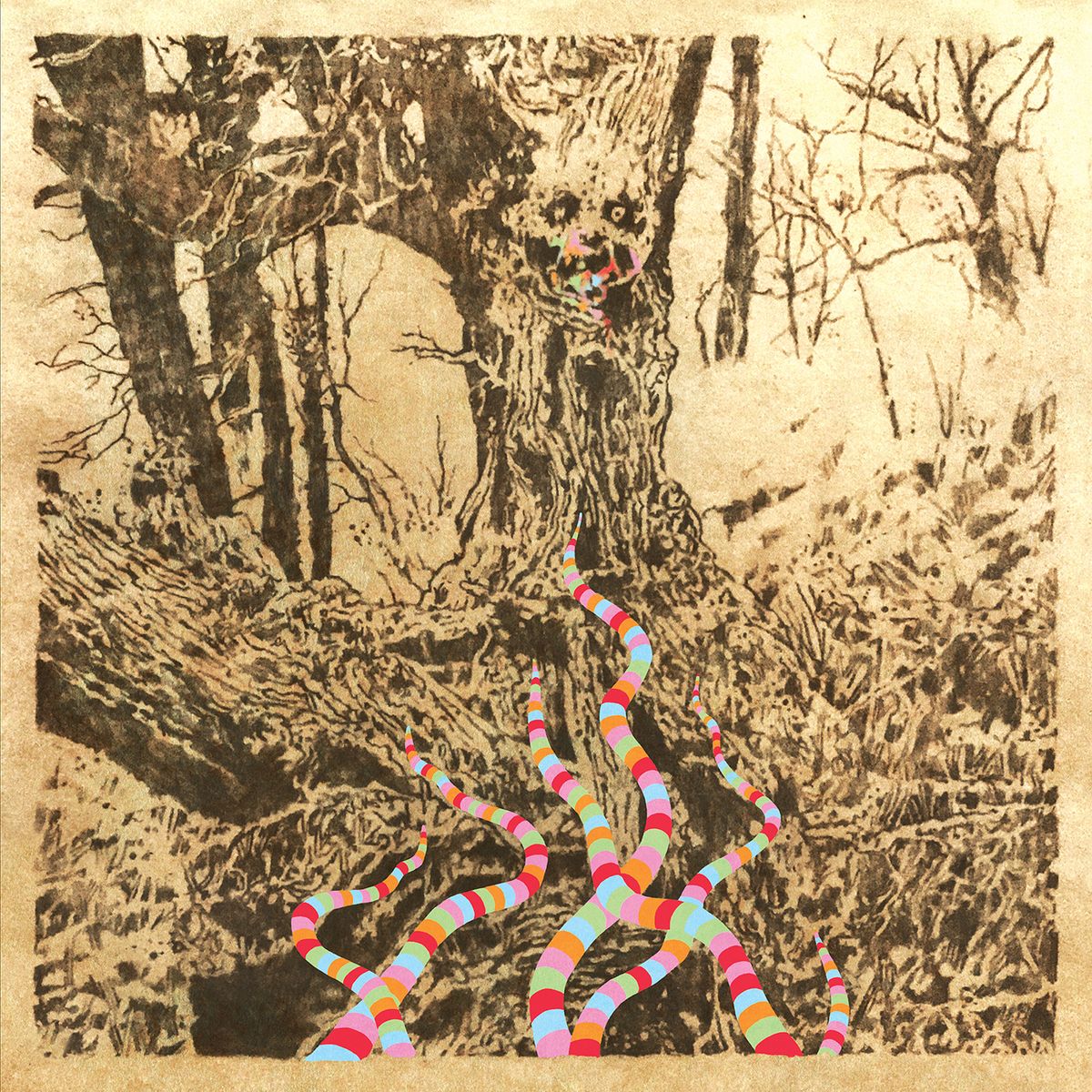 Regal Worm release suitably psychedelic video for new single Hop | Louder