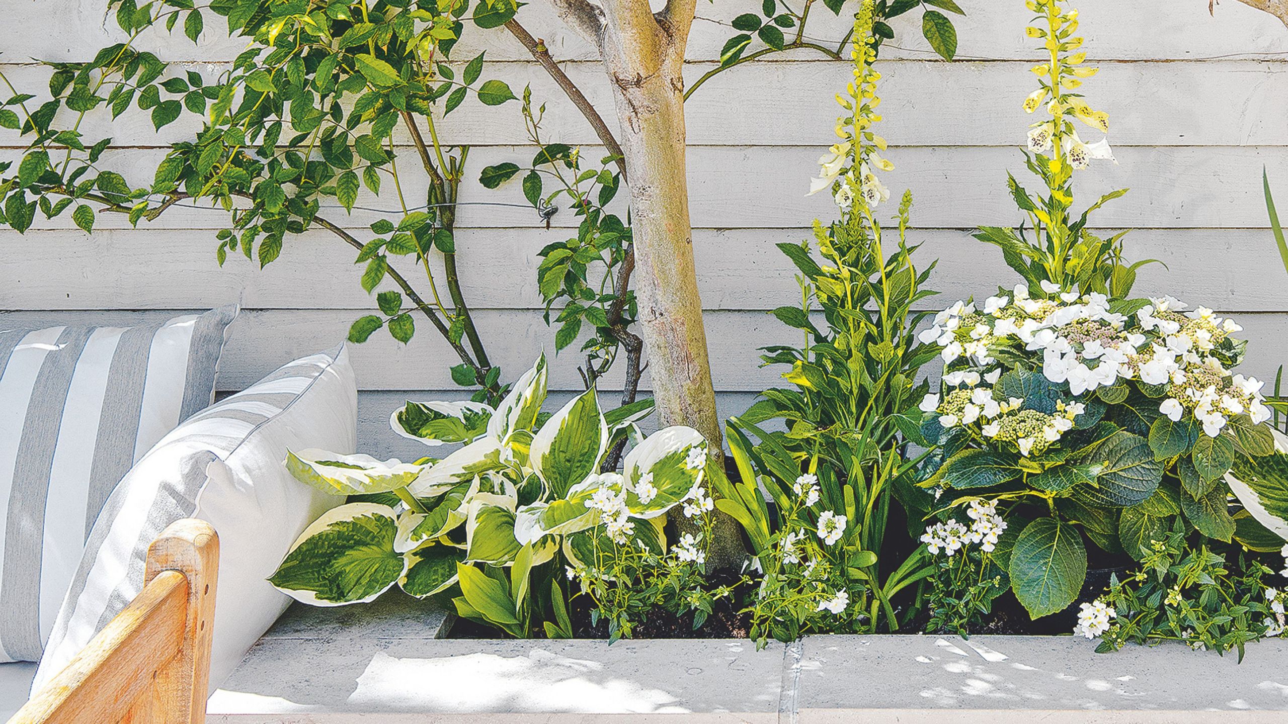 7 ways to make a north-facing garden feel brighter | Ideal Home