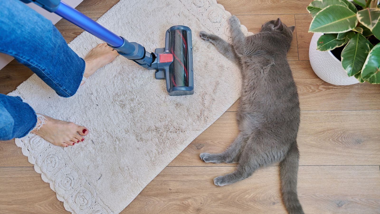 The 10 best vacuums for pet hair: Tried and tested | Real Homes
