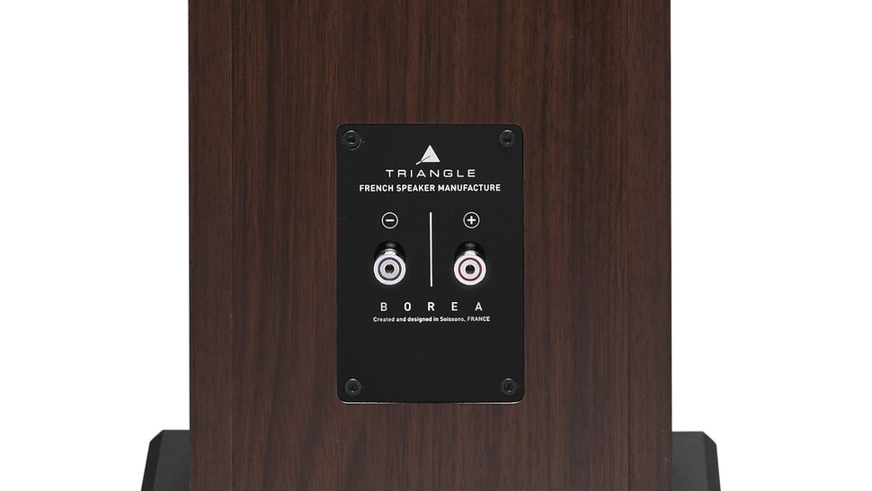 Triangle Borea BR08 review: punchy, enthusiastic floorstanders | What ...