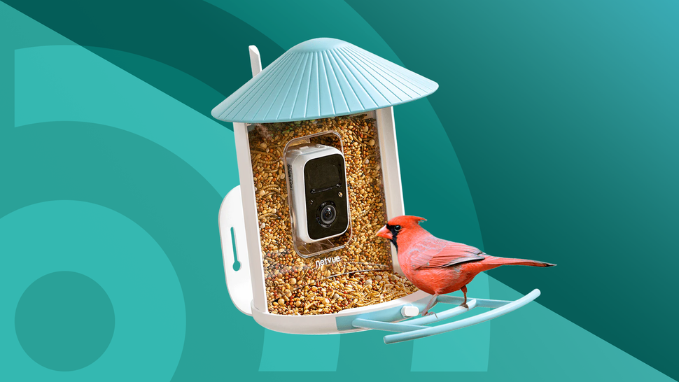 The best bird feeder cameras in 2024 for birdwatching at home | TechRadar