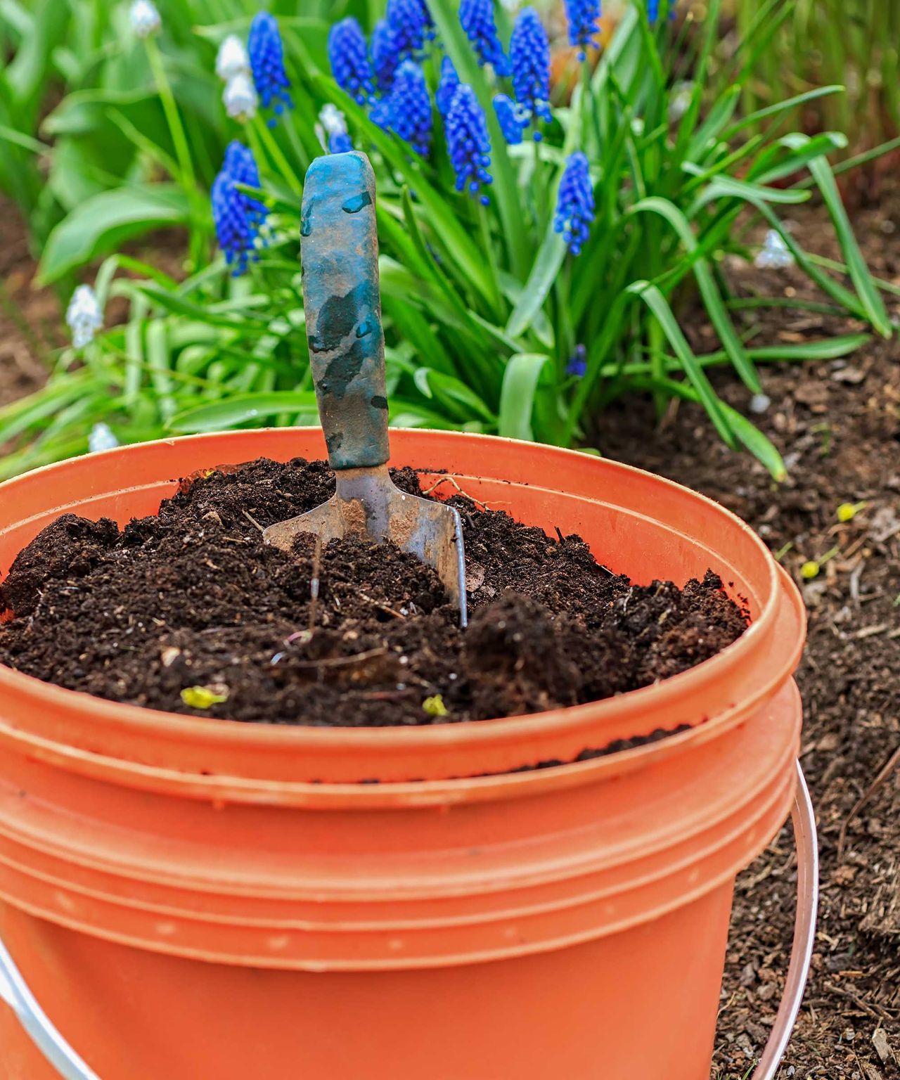 Preparing a garden for spring – 5 tasks for your to-do list | Homes and ...