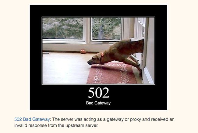 Dogs explain the mysteries of HTTP status codes | Creative Bloq