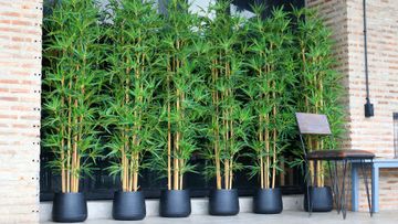 How to transform your garden into a serene zen paradise | Woman & Home