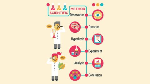 Science and the scientific method: Definitions and examples | Live Science