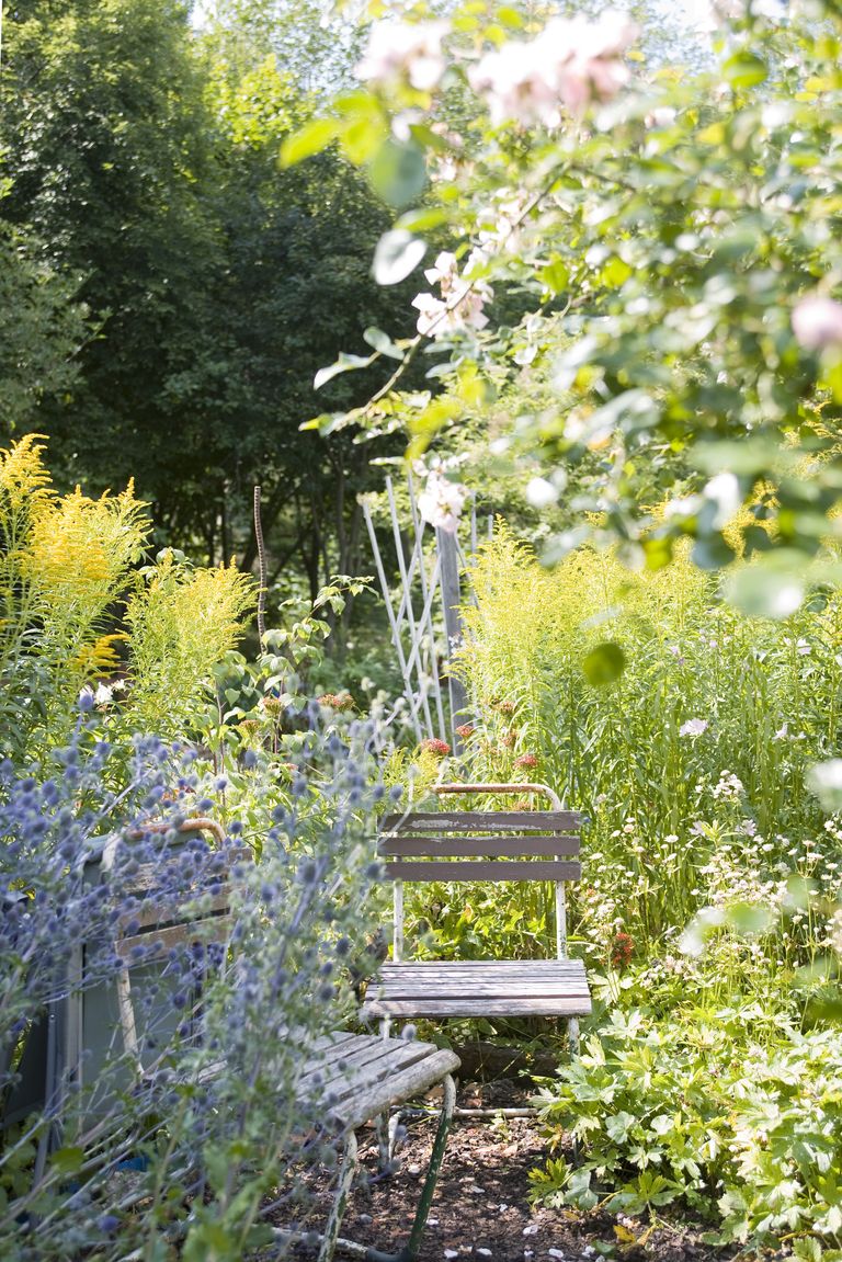 Rewilding: how to rewild your garden in 10 easy steps | Gardeningetc