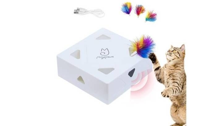 Best interactive cat toys: Help your cat stay mentally sharp | PetsRadar