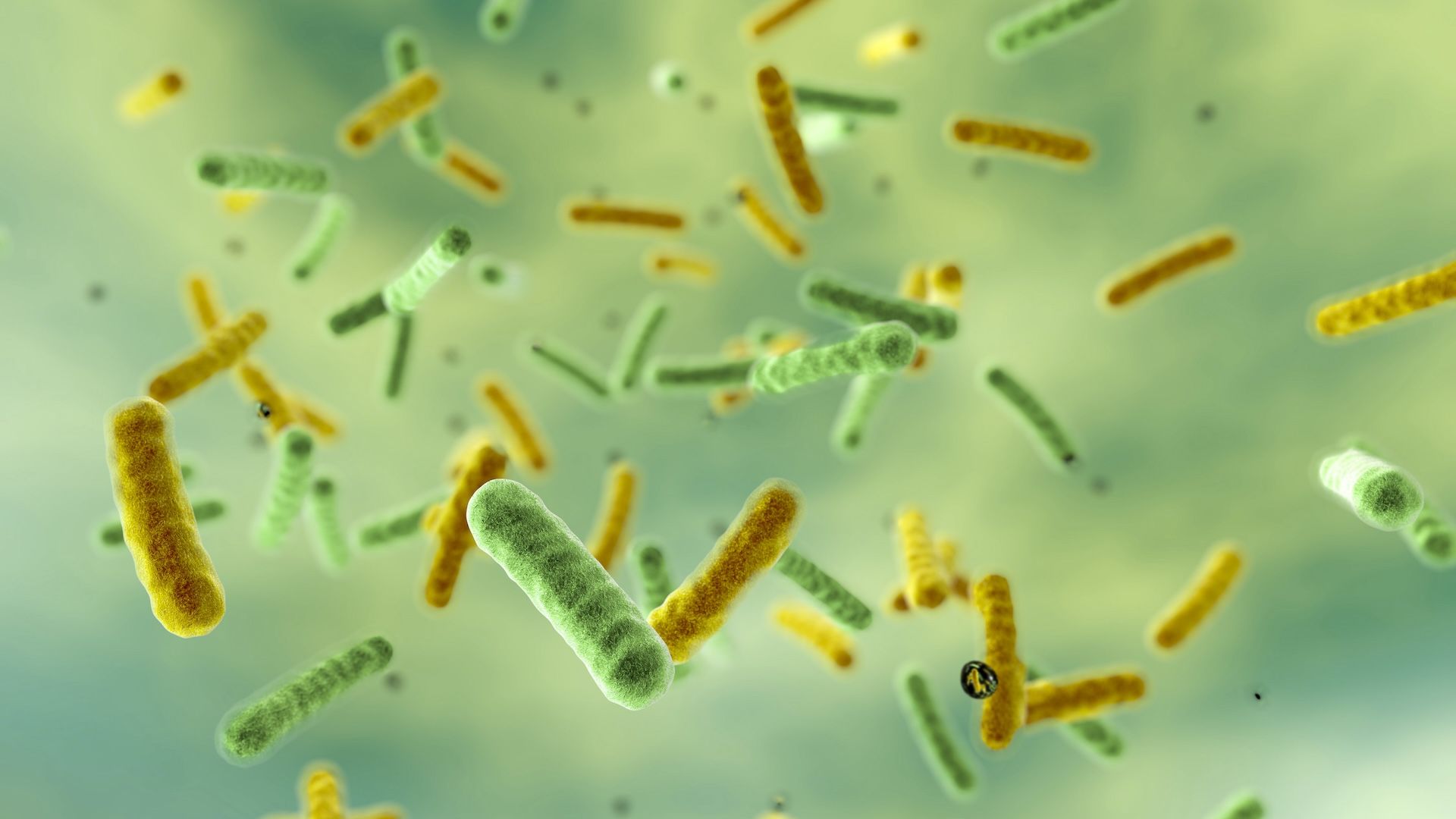 Scientists uncover microbes that destroy 'forever chemical' pollutants ...