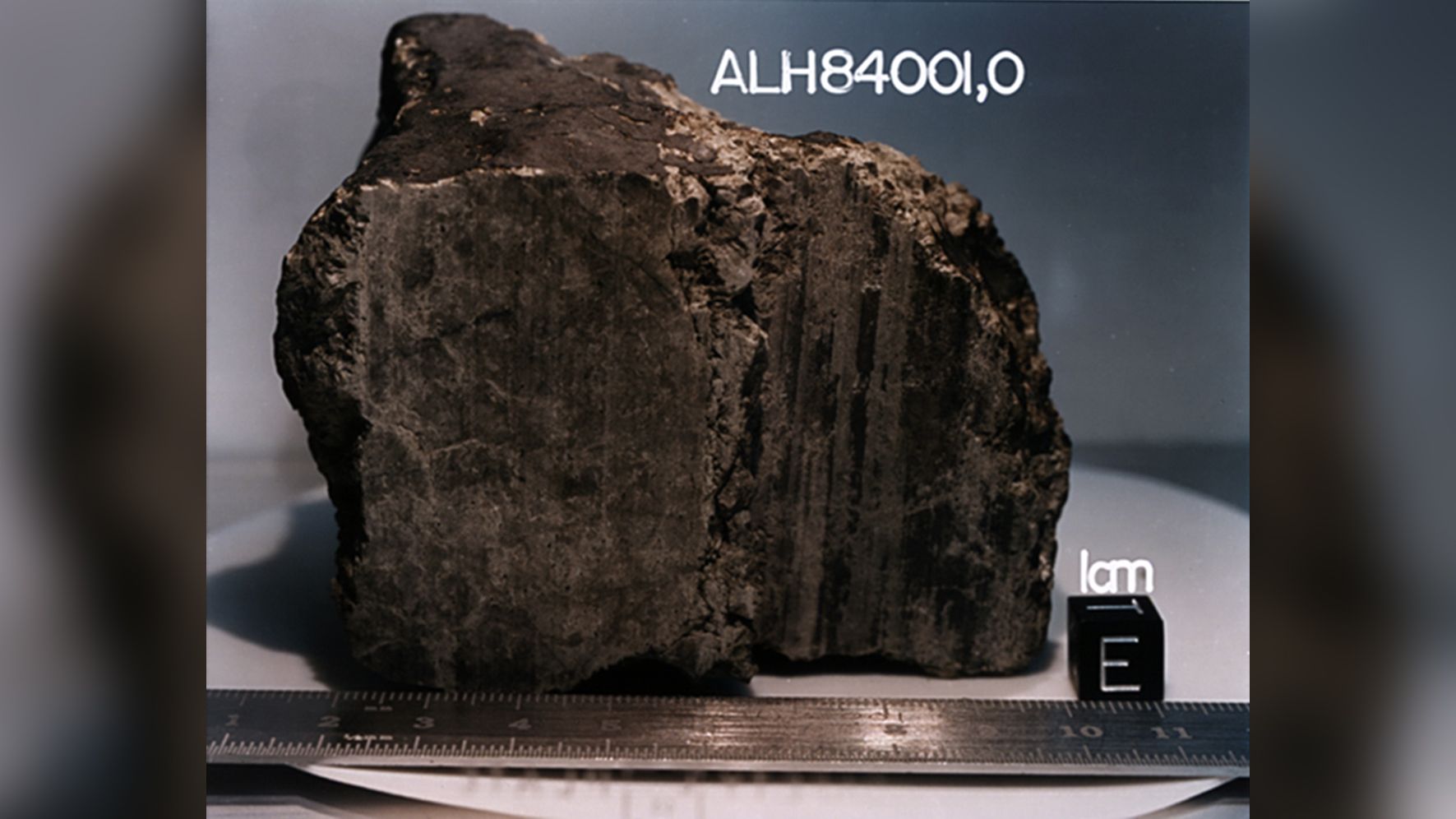 Infamous Mars meteorite contains organic molecules. But they aren't ...
