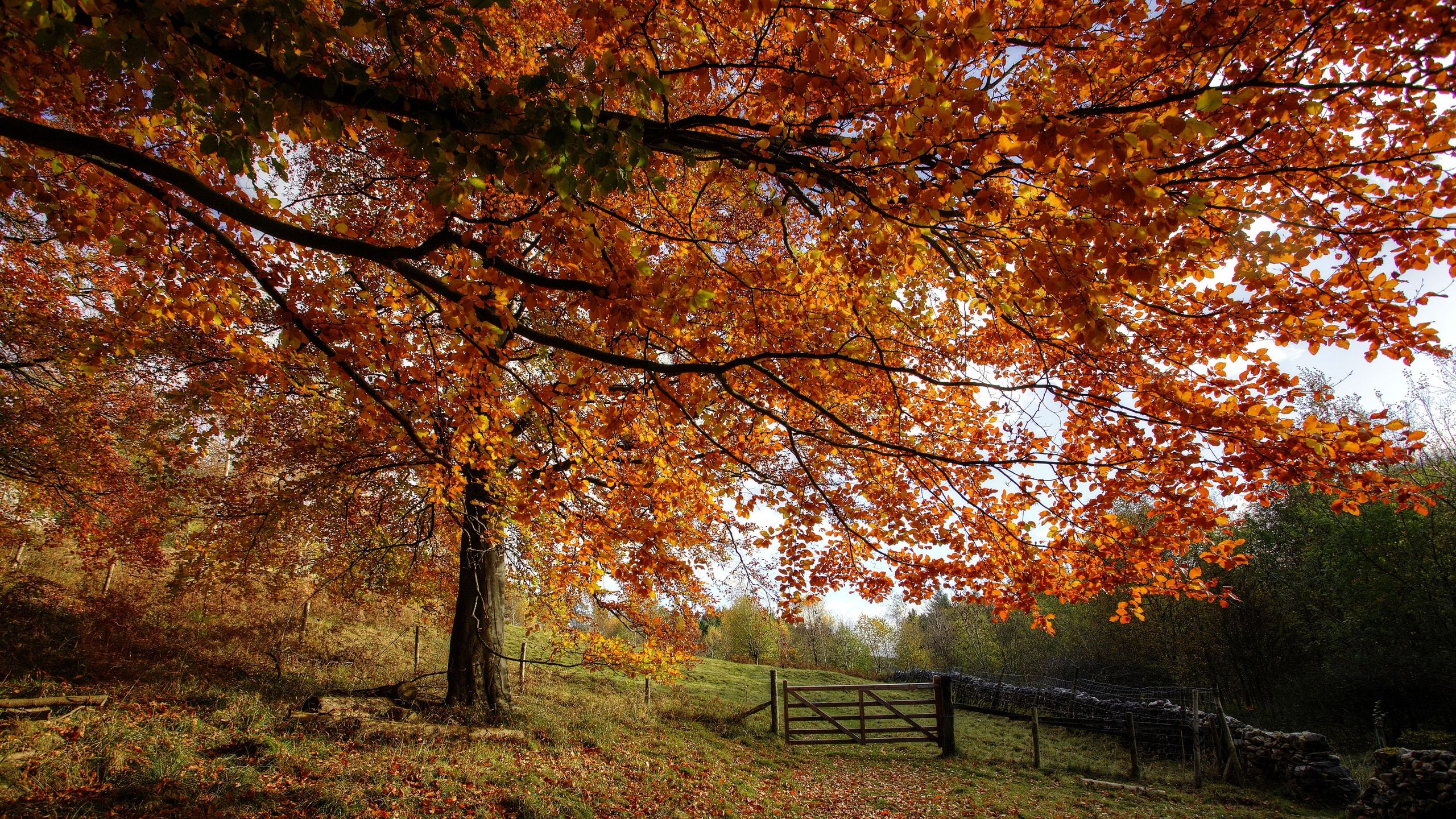 Fall Financial Check-In: How Balanced Is Your Portfolio? | Kiplinger