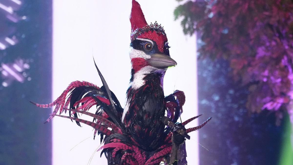 Who Are The Masked Singer’s Buffalo, Showbird, Ship And Woodpecker? Our ...