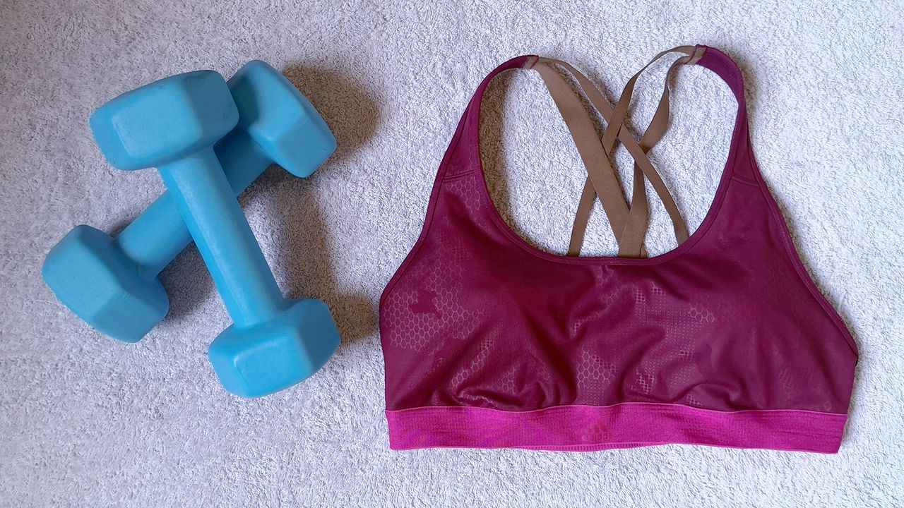 Best sports bra 2020: for runners, the gym and all other exercise ...