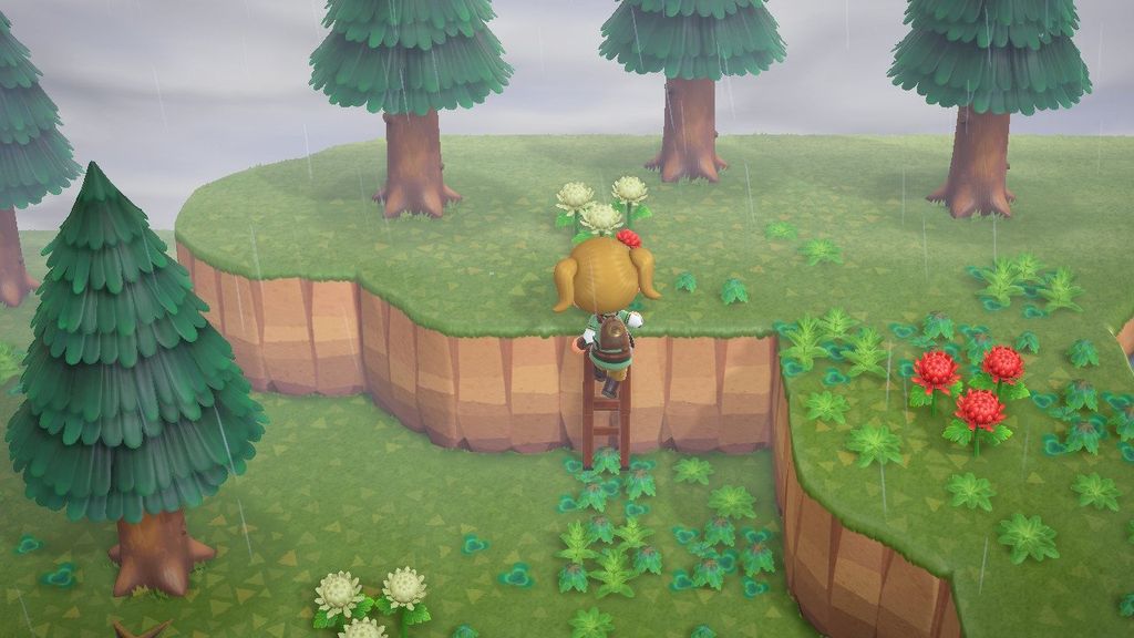 Animal Crossing: New Horizons — How to get the ladder and climb cliffs ...