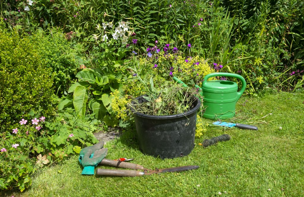 5 Mistakes People Make That Lead to a Cluttered Backyard — And How to ...