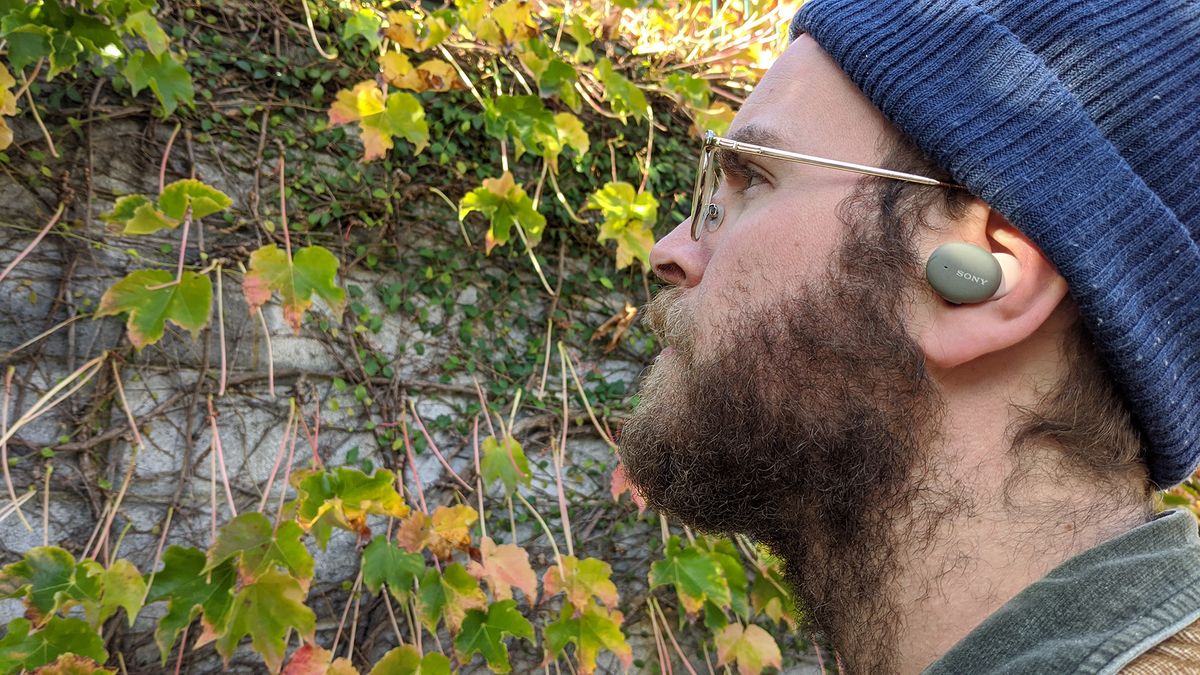 Sony WF-H800 Truly Wireless Earbuds review | TechRadar