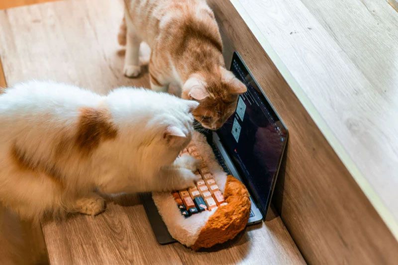 Cat themed fur-wrapped tri-mode keyboard now available for $240 ...