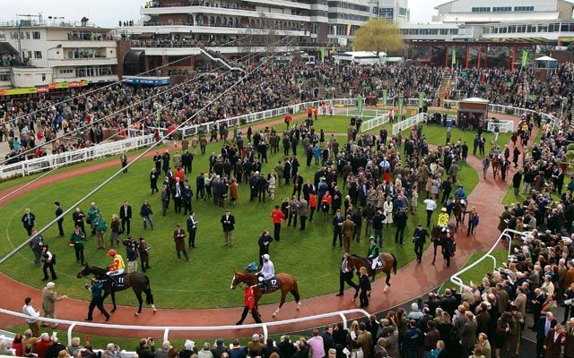 How to join a racing syndicate | Country Life