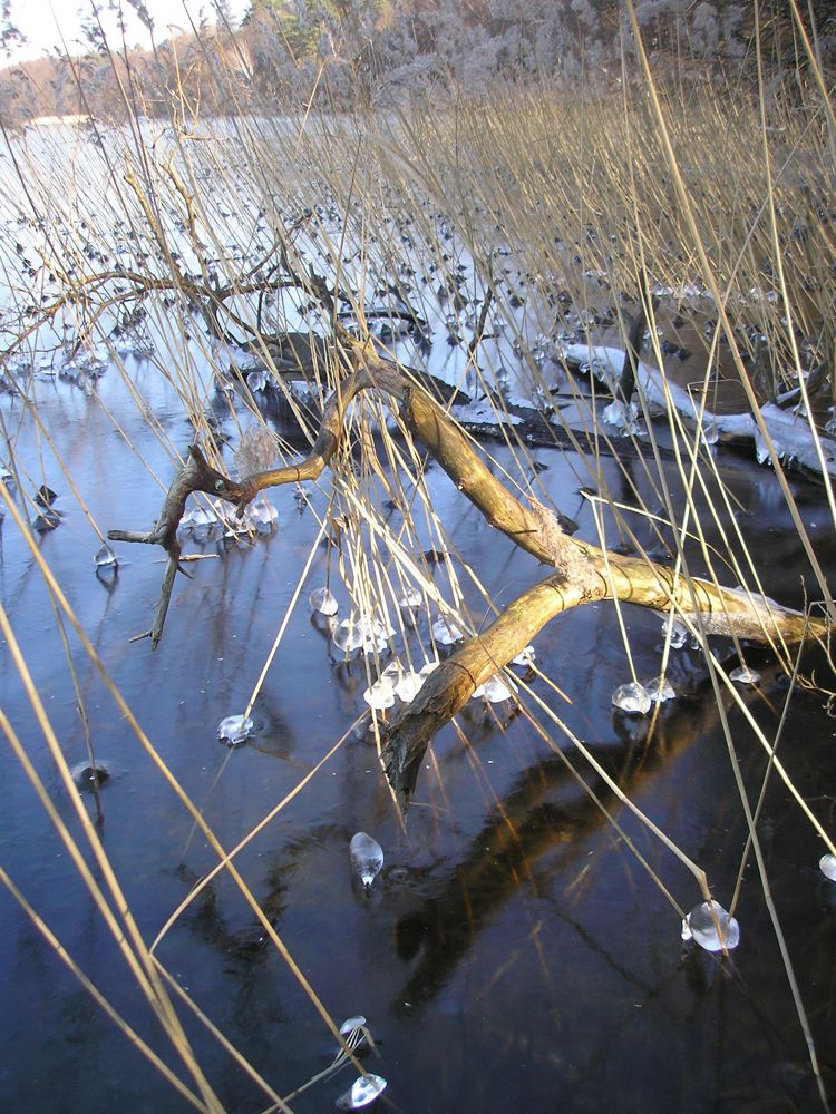 In Photos: Frozen Lakes in Winter: Page 4 | Live Science