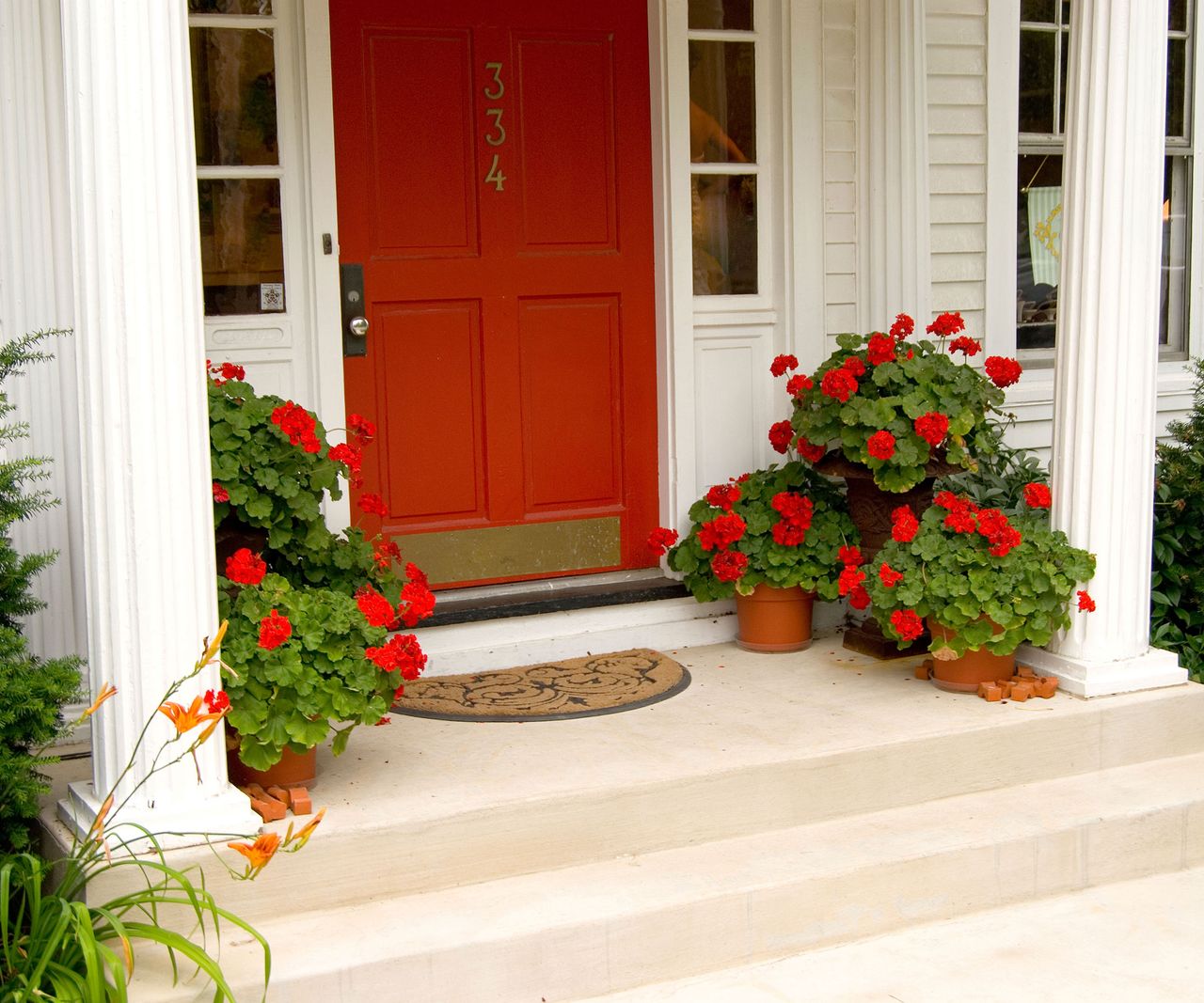 Best front door plants: 10 beautiful choices | Homes and Gardens
