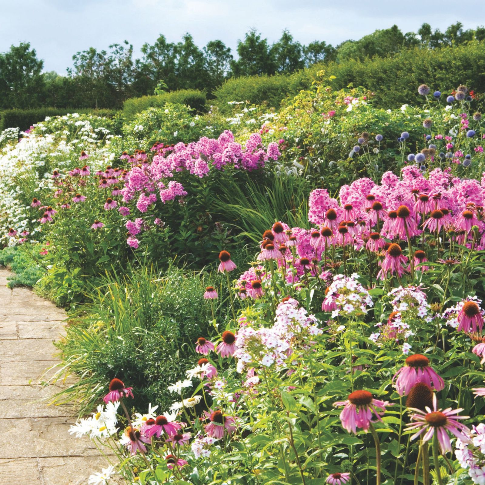 8 long flowering perennials for lasting blooms | Ideal Home
