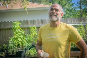 How to grow ginger in pots: Expert tips for successful crop