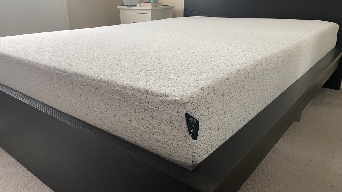 I'm only looking for fiberglass-free mattress deals this Presidents ...