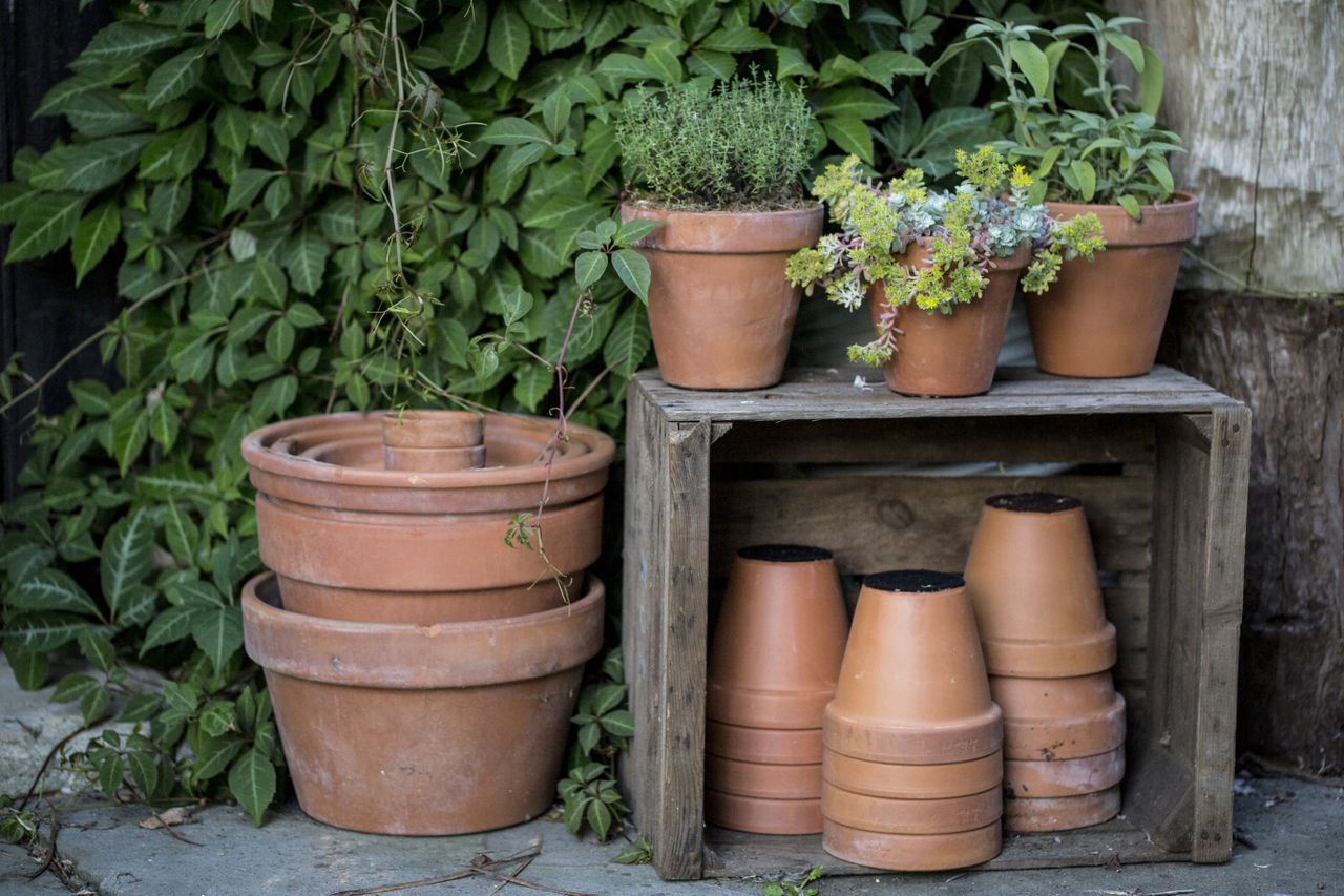 Clay Pot Sealer — How and When to Use This Container Garden Hack ...