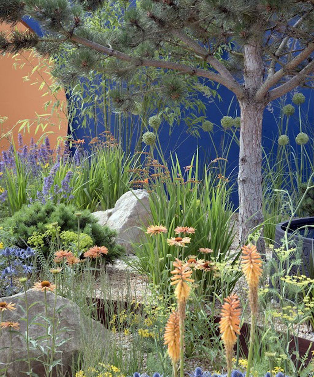 Front yard rock landscaping ideas: 10 eye-catching looks | Homes and ...