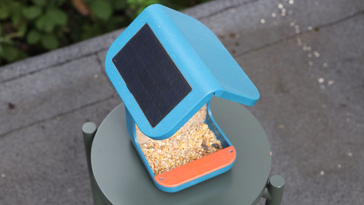 Bird Buddy Smart Bird Feeder review | Digital Camera World