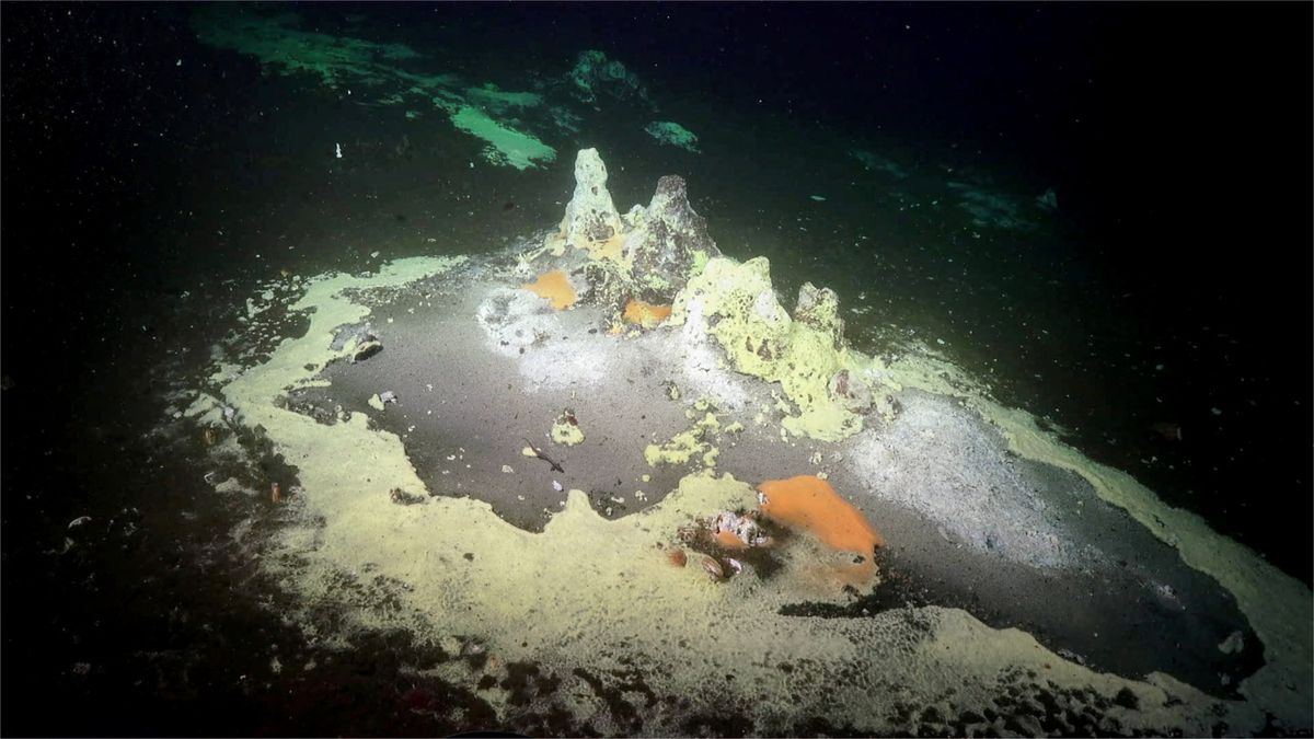 In Photos: Sea Life Thrives at Otherworldly Hydrothermal Vent System ...